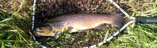 Home - Fly Fishing Flies - Granite City Fishing